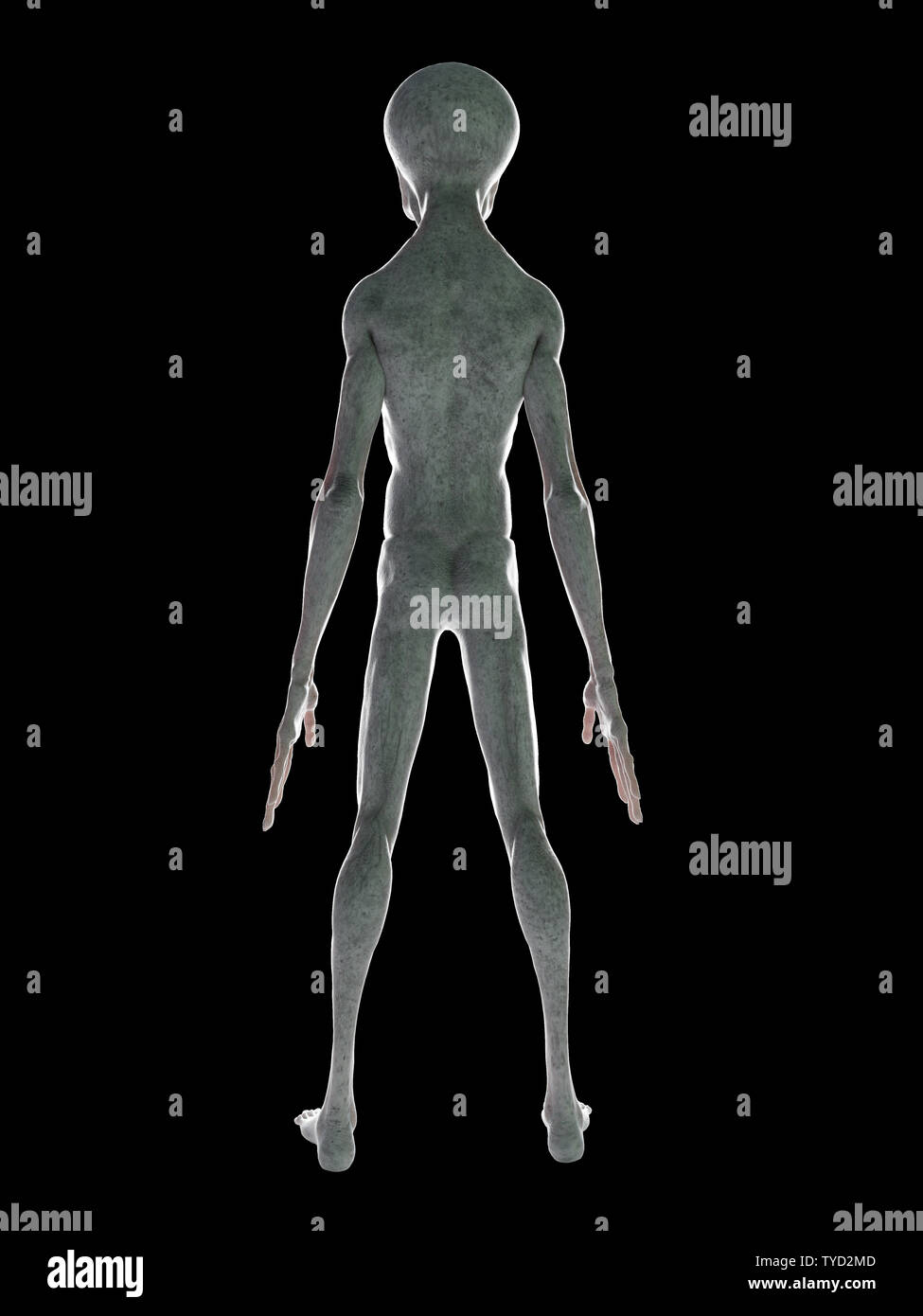 3d rendered illustration of a standing grey alien Stock Photo - Alamy