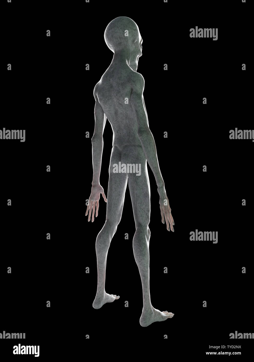 3d rendered illustration of a standing grey alien Stock Photo - Alamy