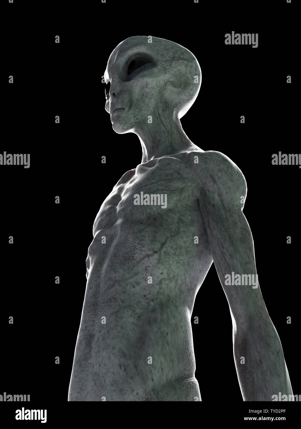 3d rendered illustration of a standing grey alien Stock Photo - Alamy