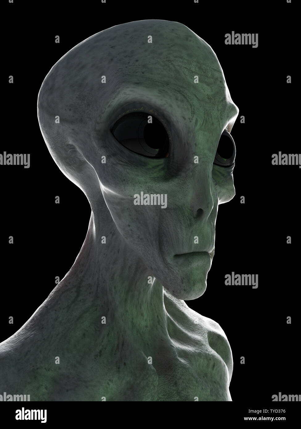 3d rendered illustration of a standing grey alien Stock Photo - Alamy