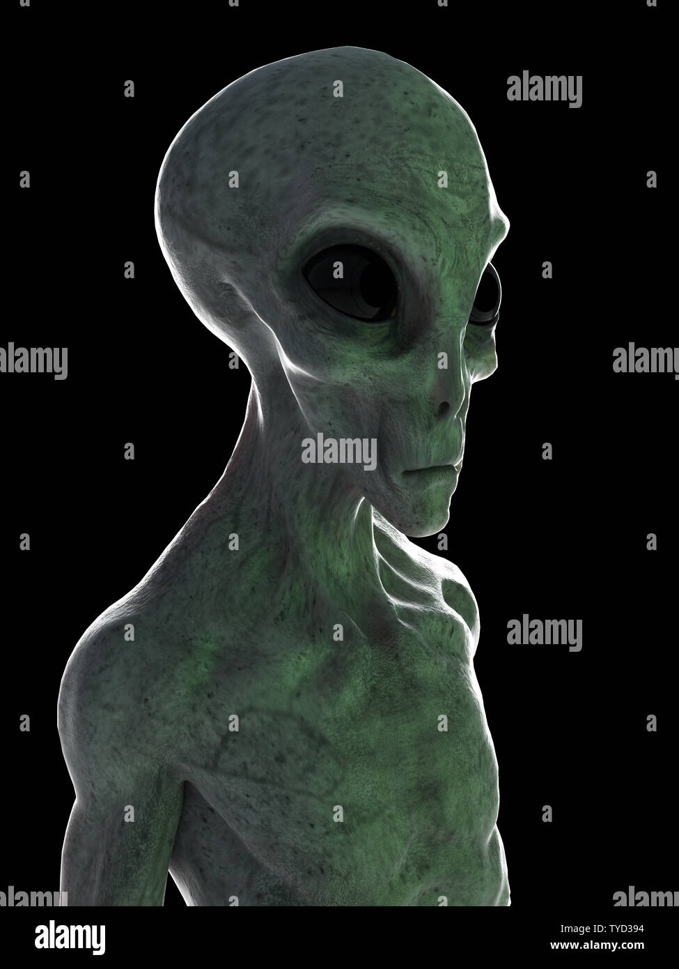 3d rendered illustration of a standing grey alien Stock Photo - Alamy