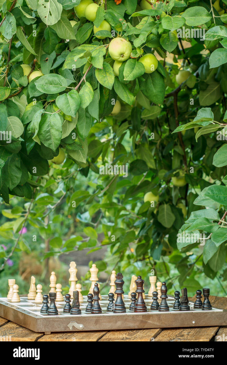 Chess board with chess pieces on wooden desk with branches of apple ...
