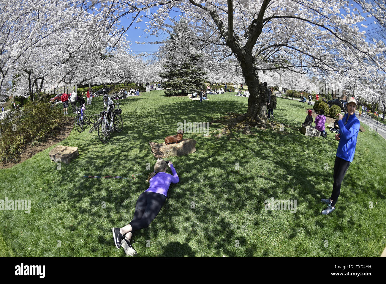 Kenwood neighborhood hi-res stock photography and images - Alamy