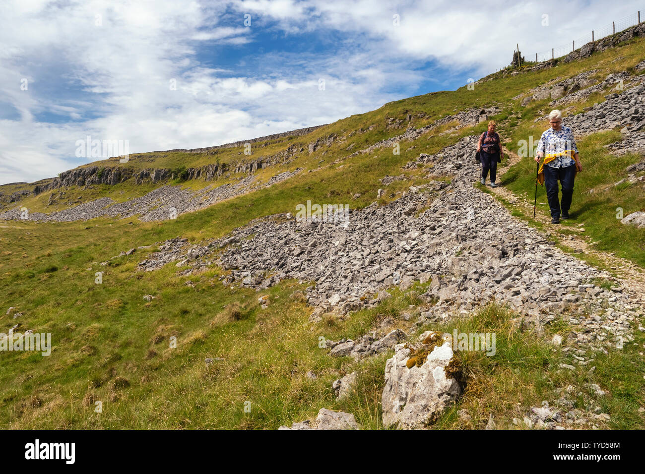 22/06/2019 Austwick, North Yorkshire, UK The Norber erratics are one of ...