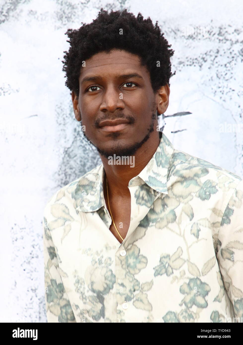 Labrinth attends the Serpentine Gallery Summer Party at Hyde Park in ...
