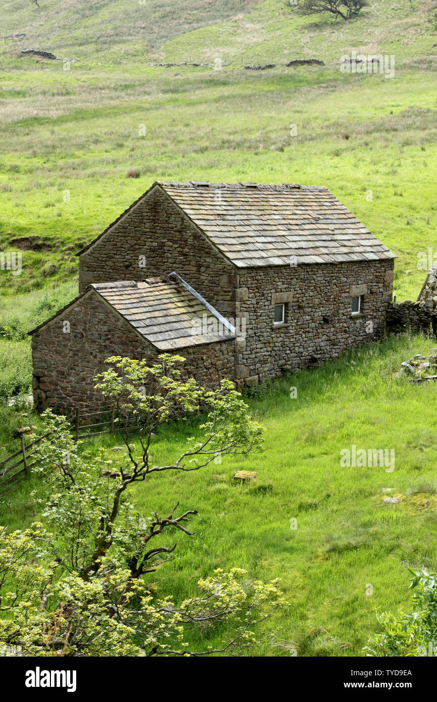 Stone built barn or farm house in field of buttercups Stock Photo - Alamy