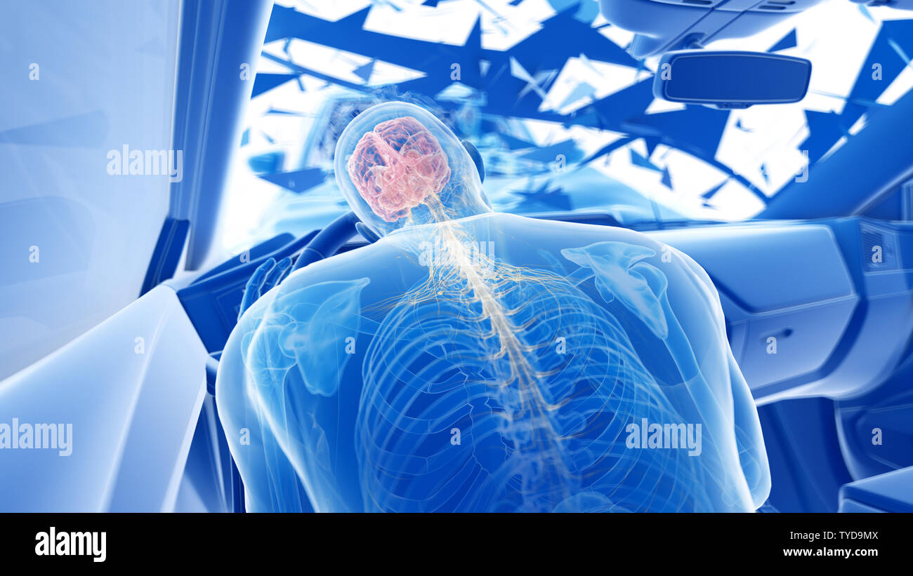 Human skeleton driving car hi-res stock photography and images - Alamy