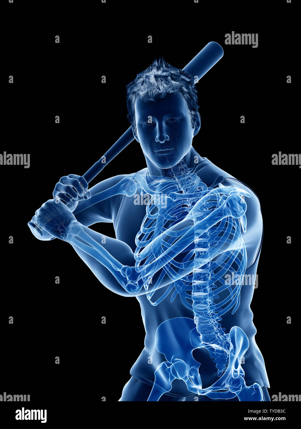 3d rendered medically accurate illustration of a baseball players ...