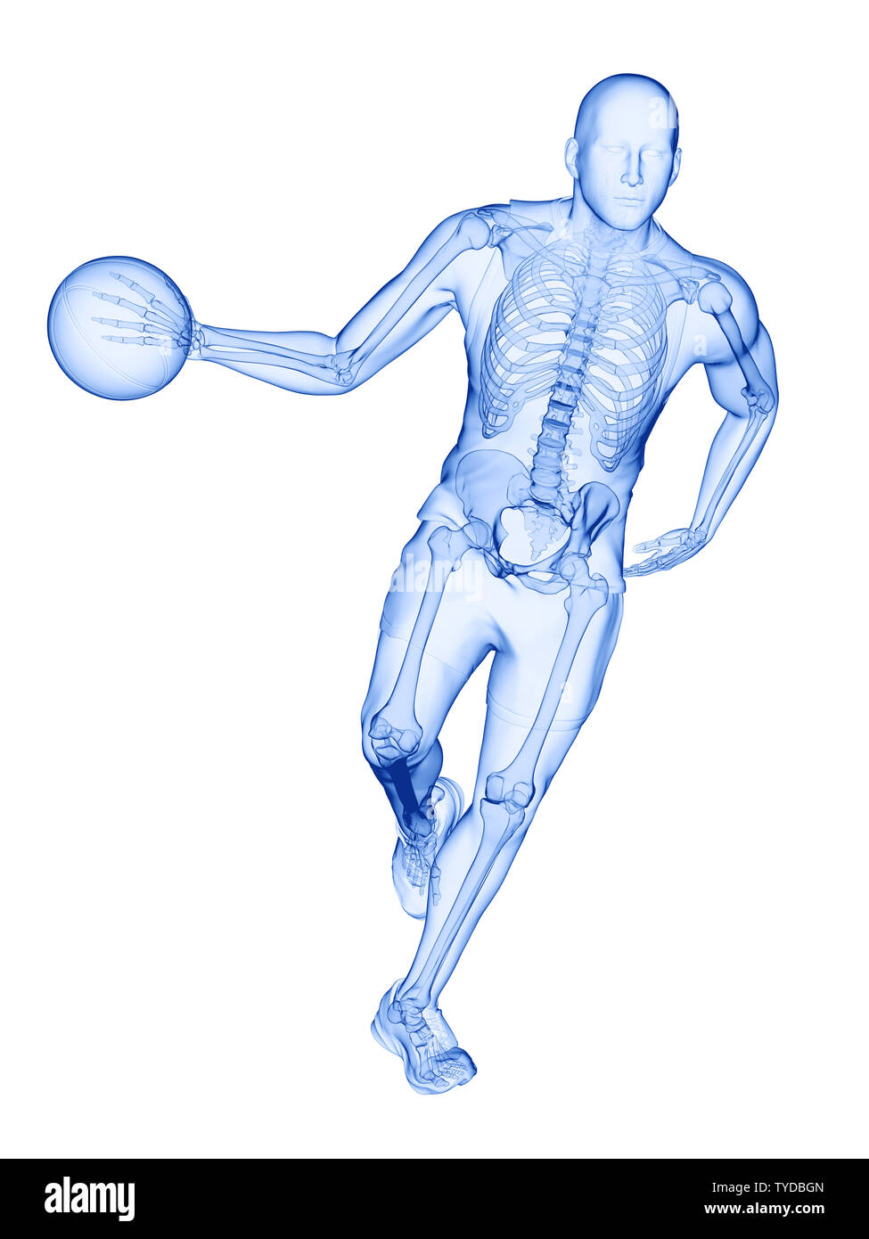 3d rendered medically accurate illustration of a basketball players ...