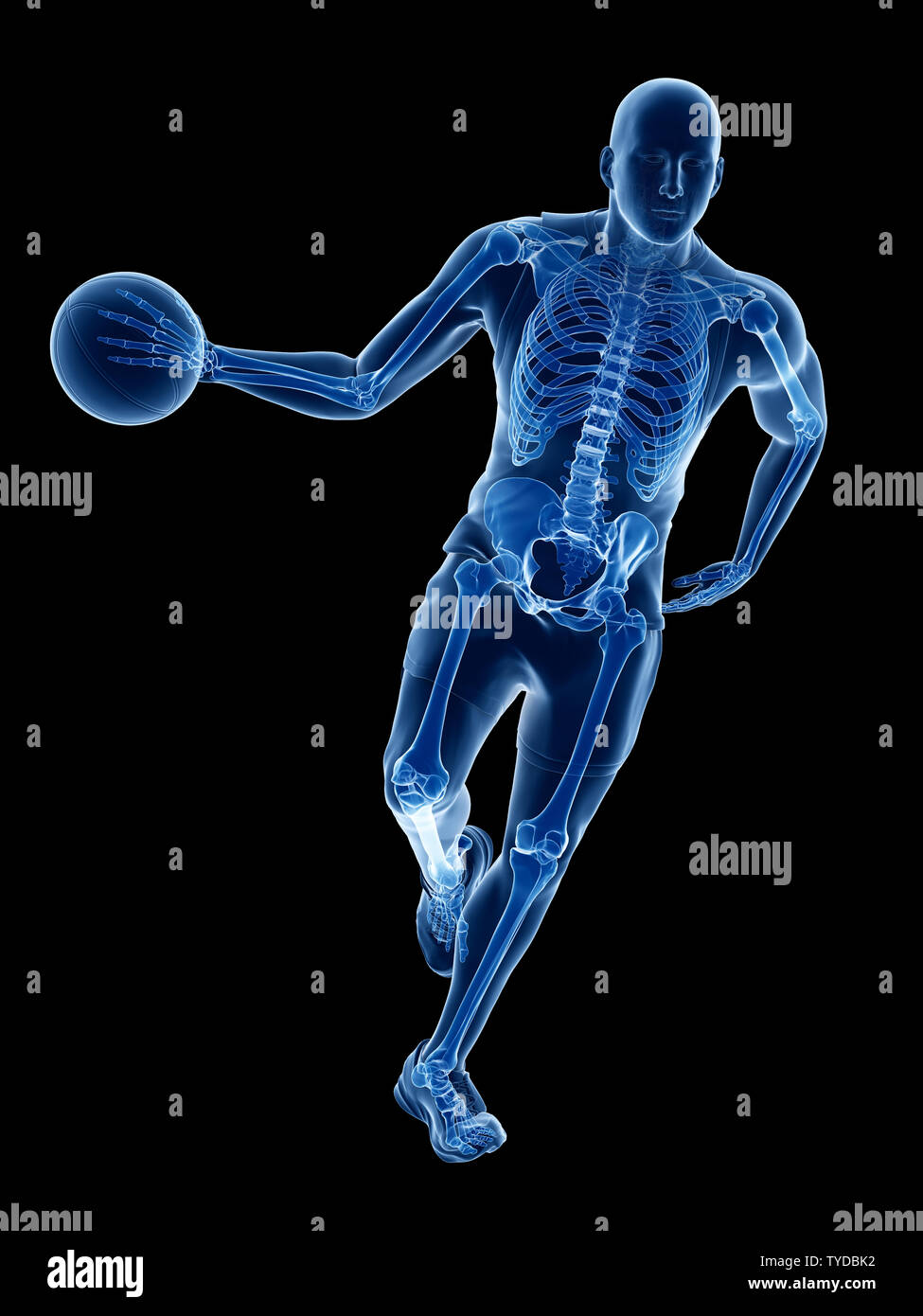 3d rendered medically accurate illustration of a basketball players ...