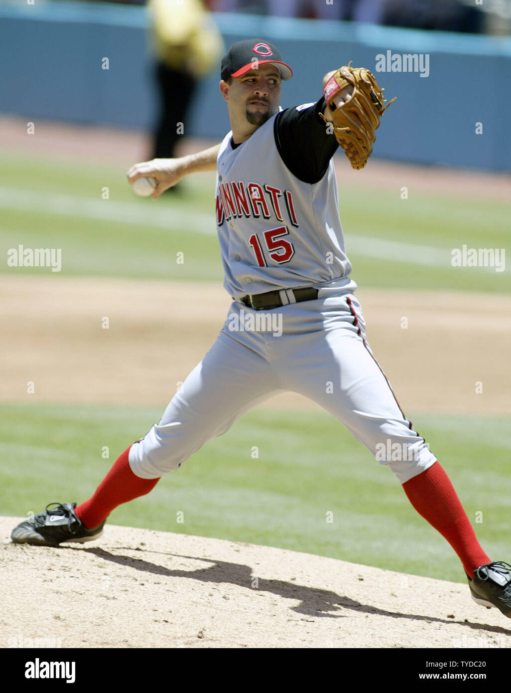 Lidle cory hi-res stock photography and images - Alamy