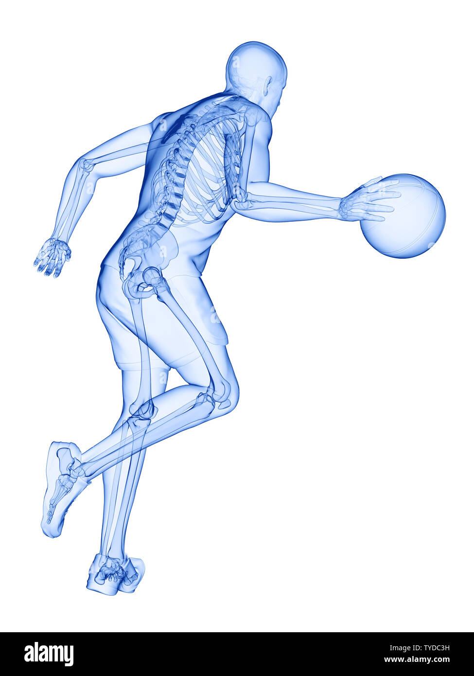 3d rendered medically accurate illustration of a basketball players ...