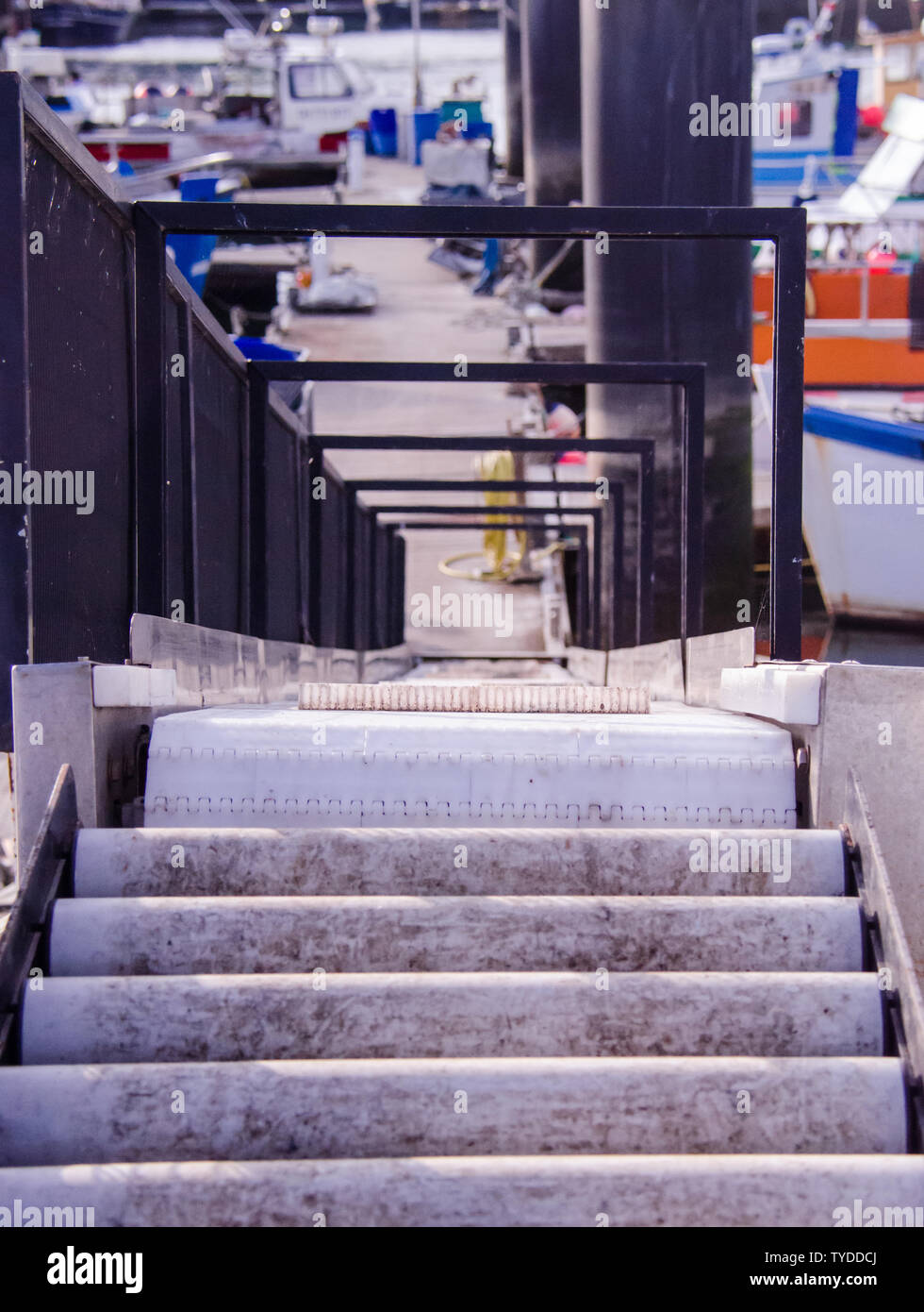 Fish conveyor hi-res stock photography and images - Alamy