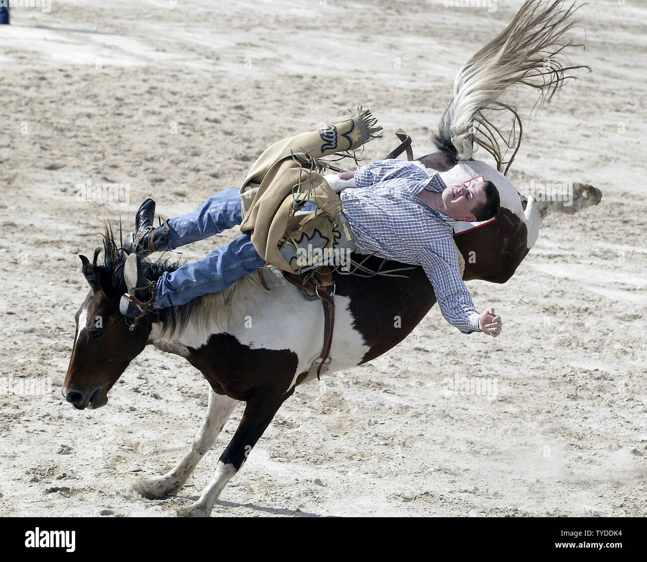 Bareback Bronc Riding High Resolution Stock Photography and Images - Alamy
