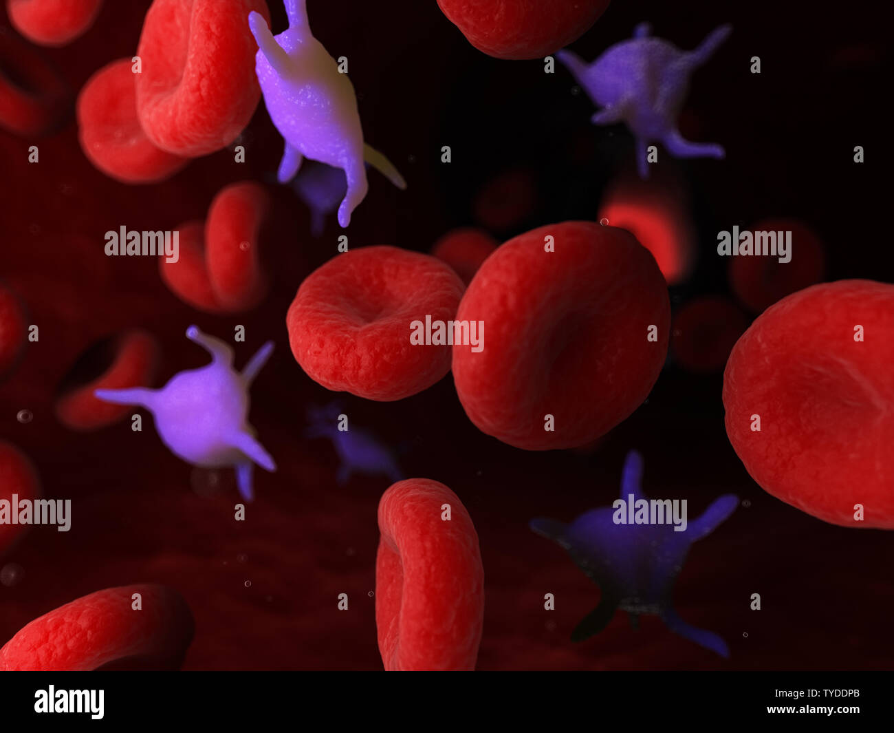 Platelets microscope hi-res stock photography and images - Alamy