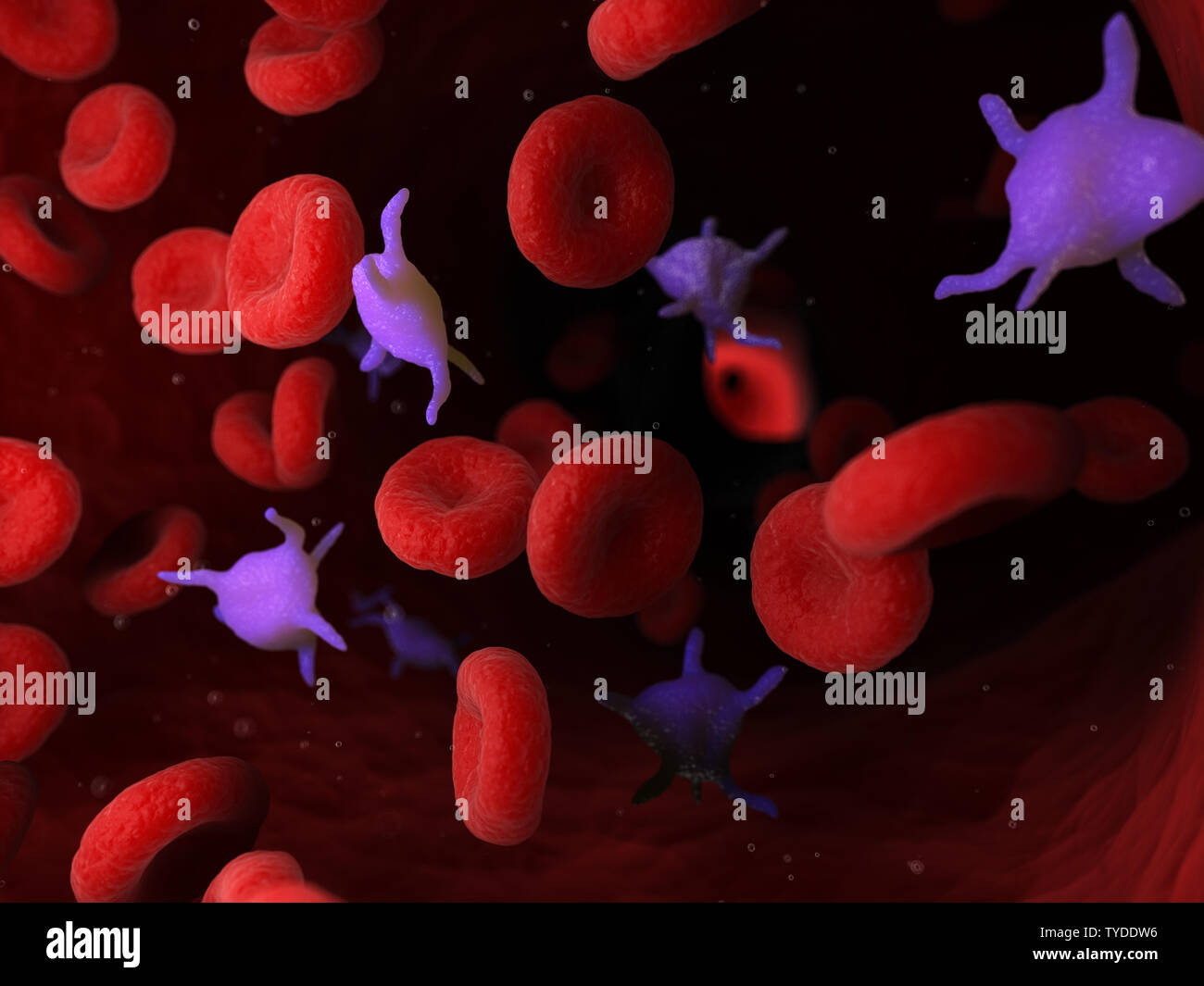 Platelets microscope hi-res stock photography and images - Alamy