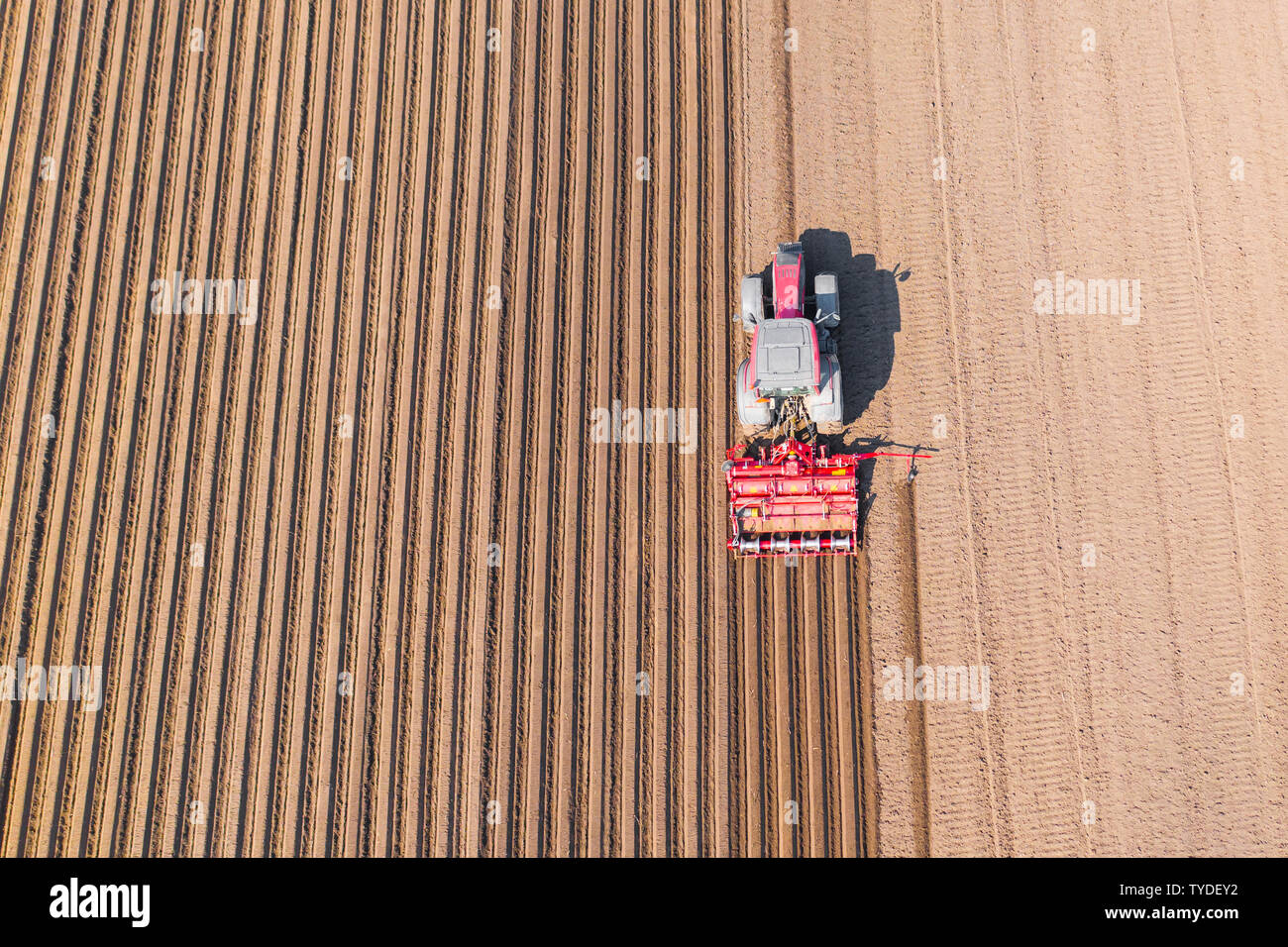 Tractor with disc harrows on farmland, top view. Tractor cuts furrows ...
