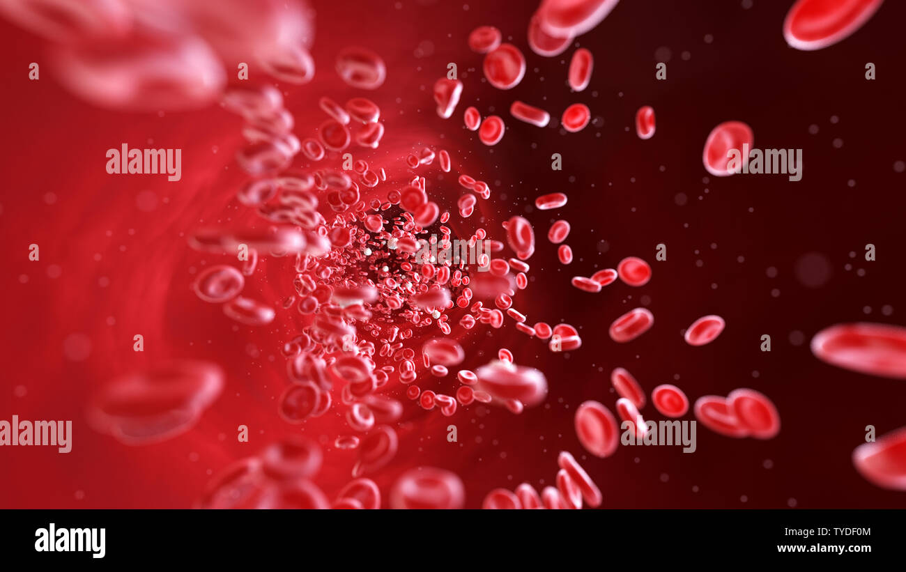 3d rendered medically accurate illustration of human blood cells Stock ...