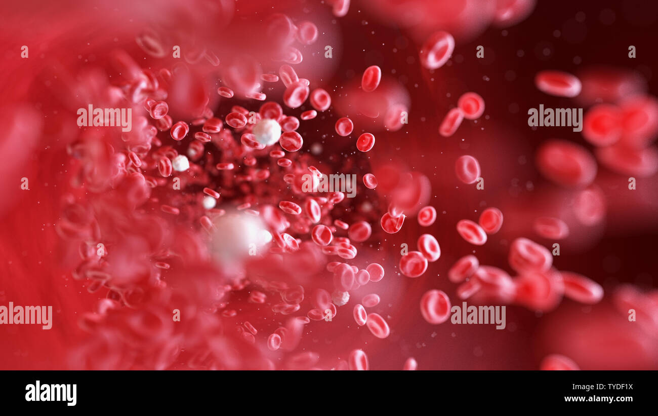 3d rendered medically accurate illustration of human blood cells Stock ...