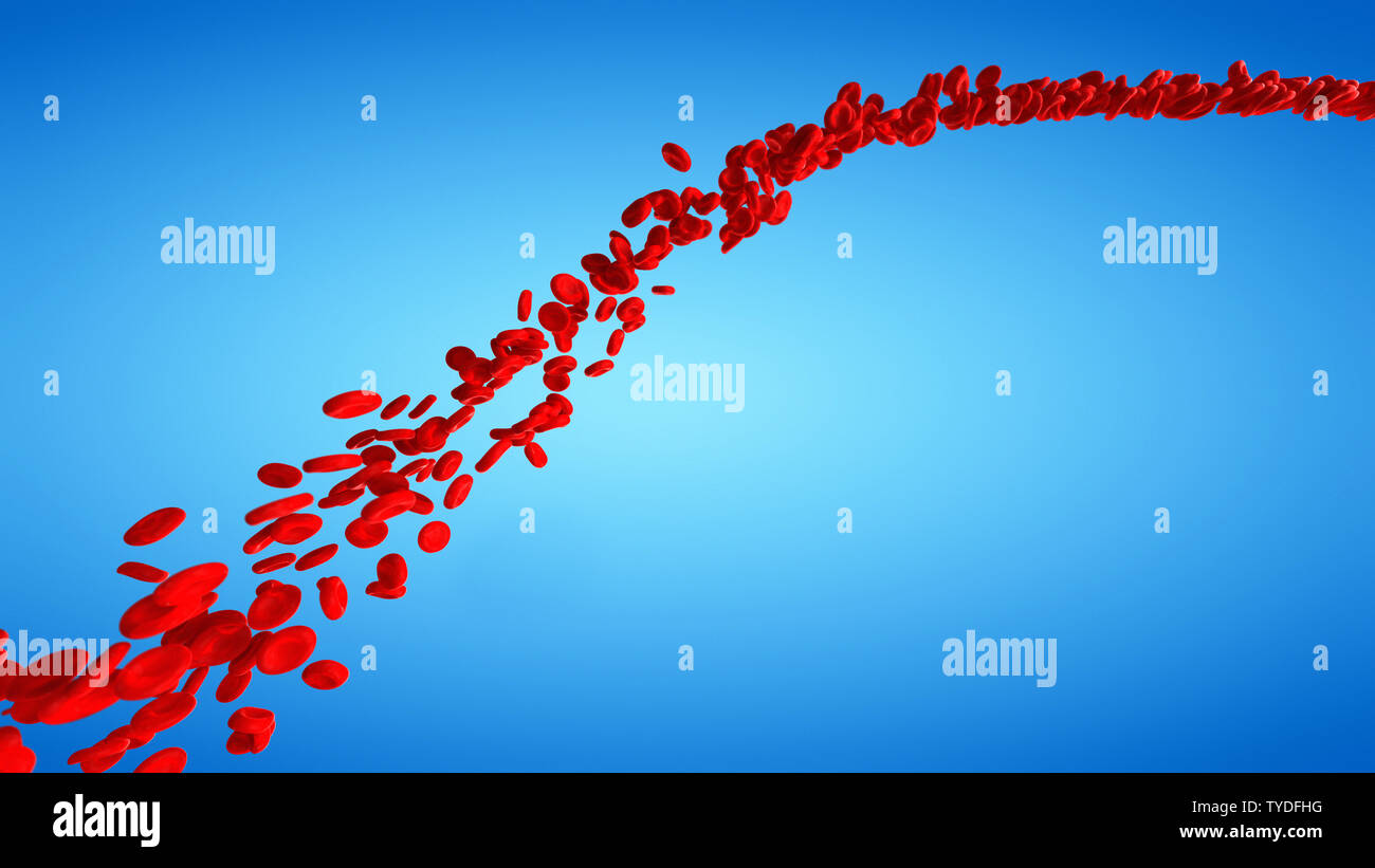 3d rendered illustration of human blood cells on a blue background ...