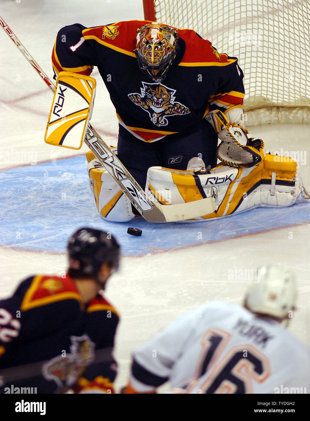 Roberto Luongo Islanders