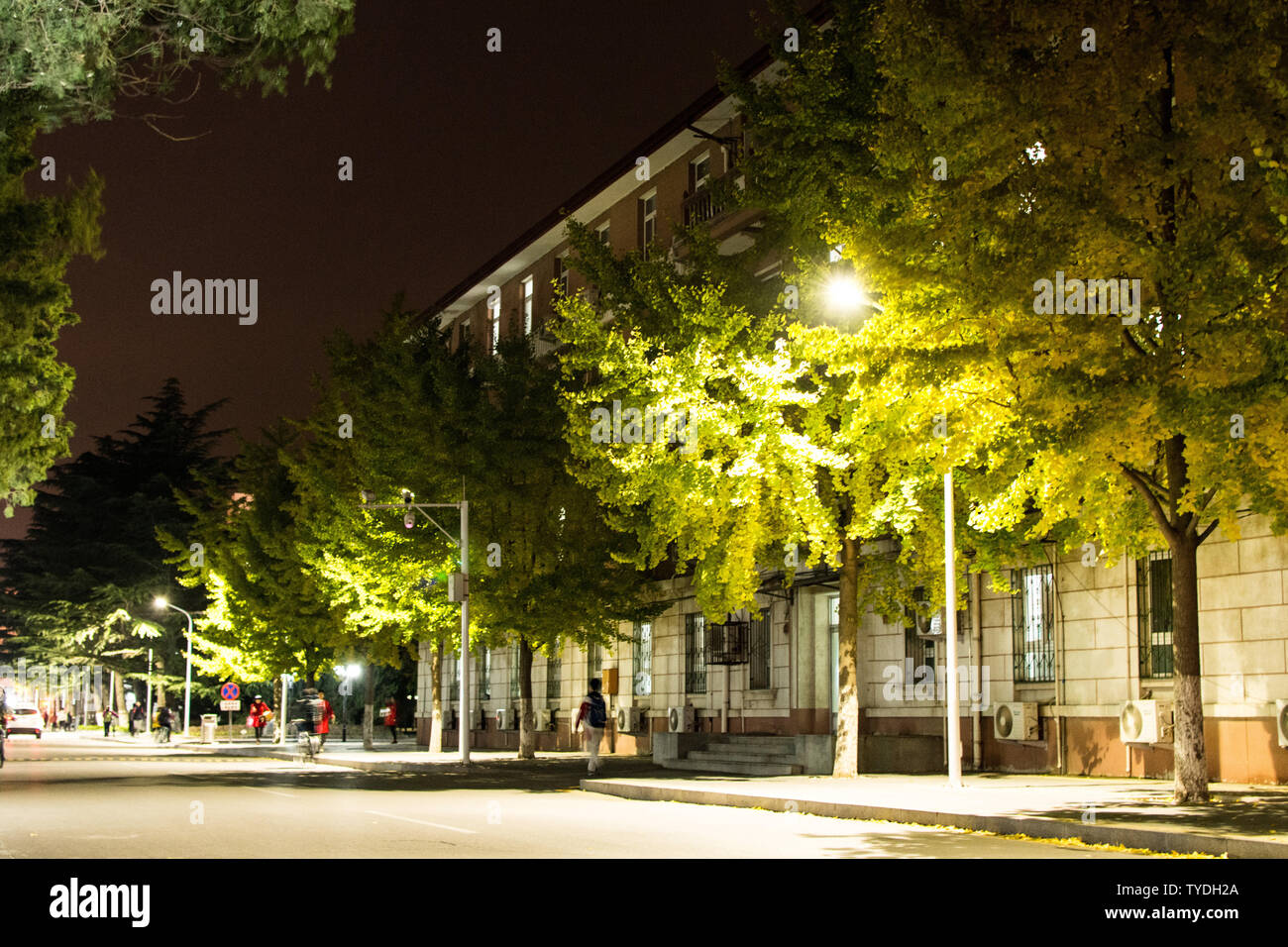 china agricultural university Stock Photo - Alamy china agricultural university Stock Photo - Alamy