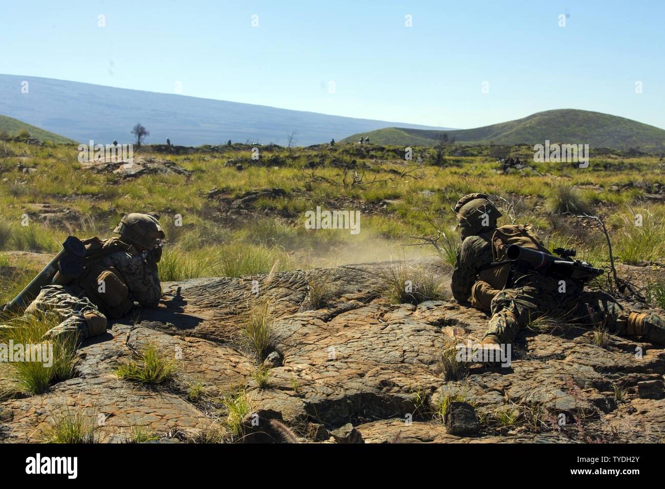 Lava viper hi-res stock photography and images - Alamy