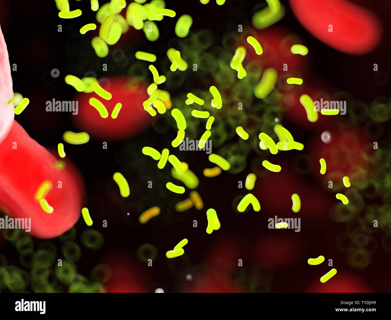 3d rendered medically accurate illustration of bacterias in an artery ...
