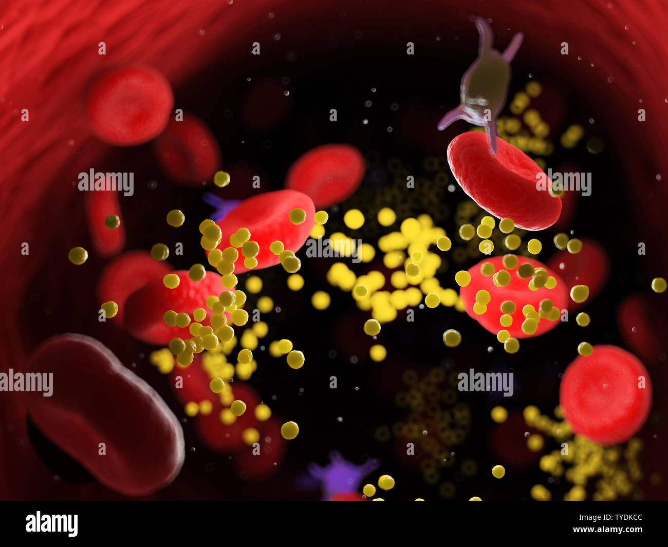 3d rendered medically accurate illustration of fat in the blood flow ...