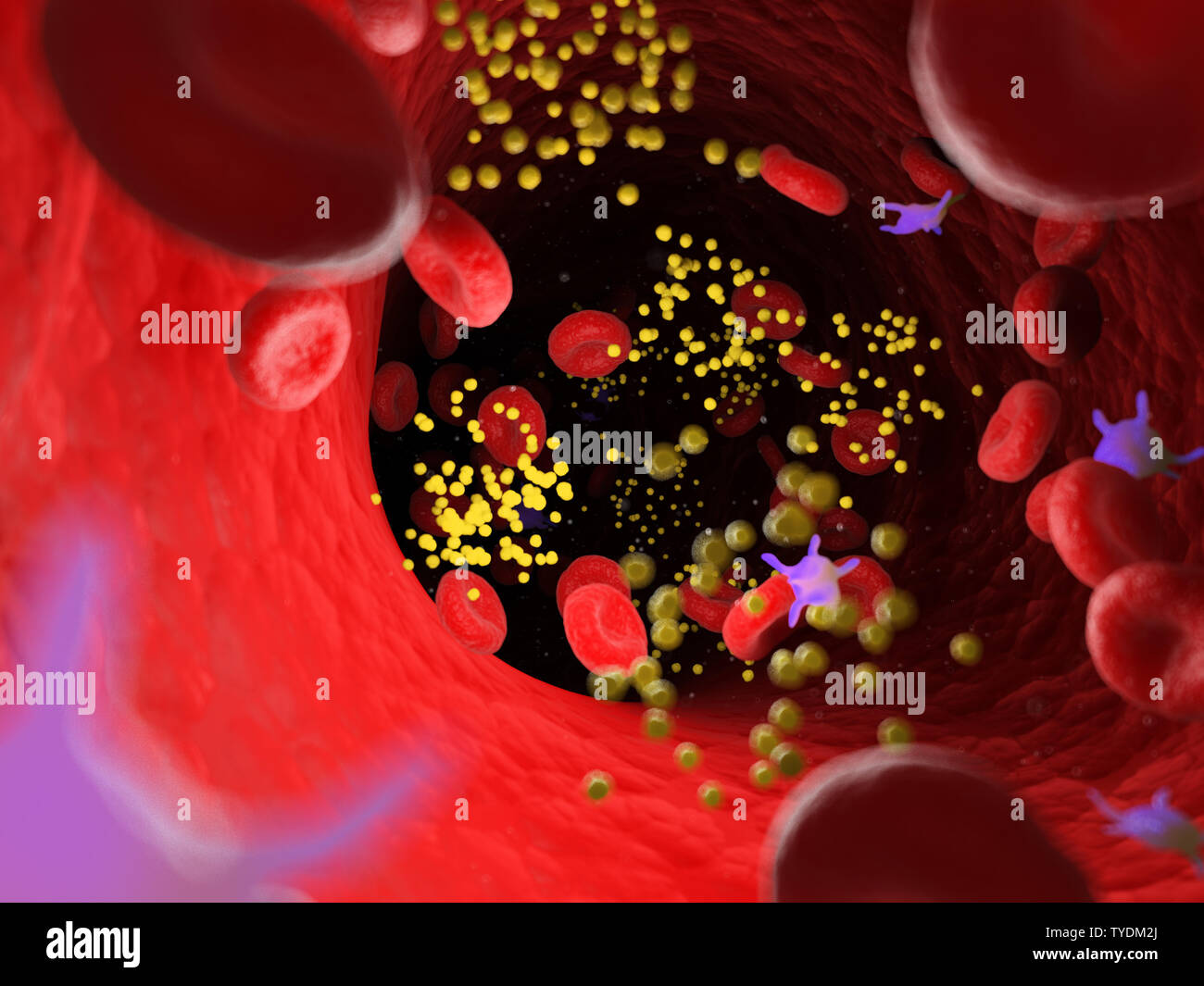 Fat cells in blood hi-res stock photography and images - Alamy
