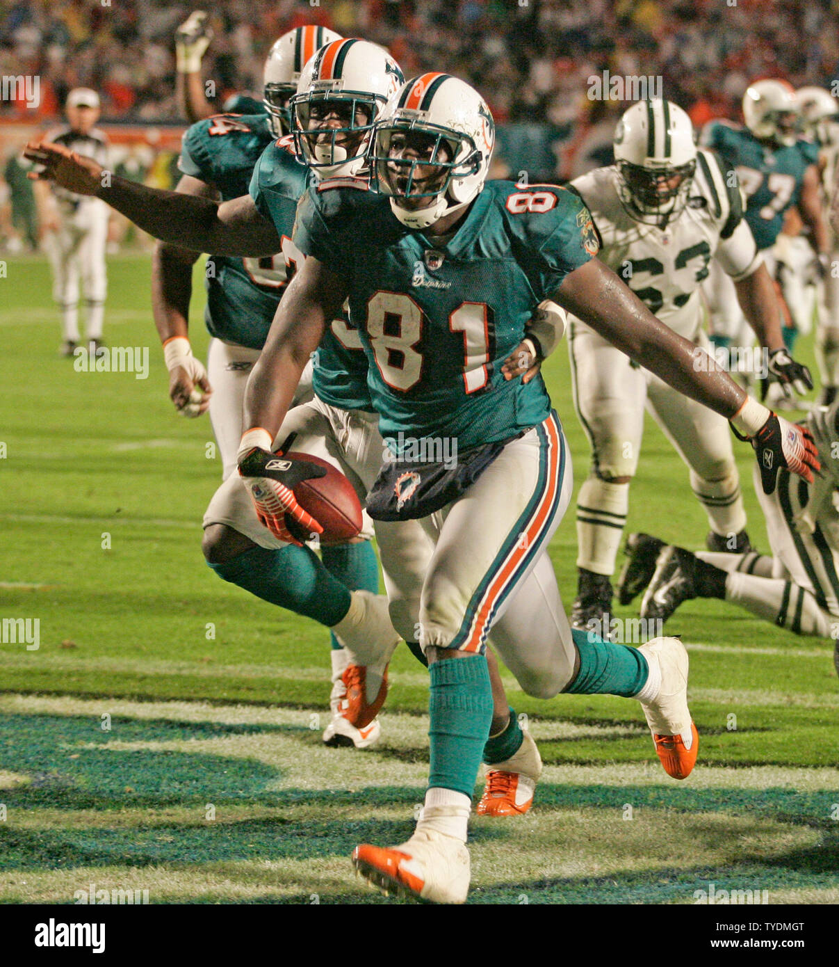 Douglas dolphin hi-res stock photography and images - Alamy