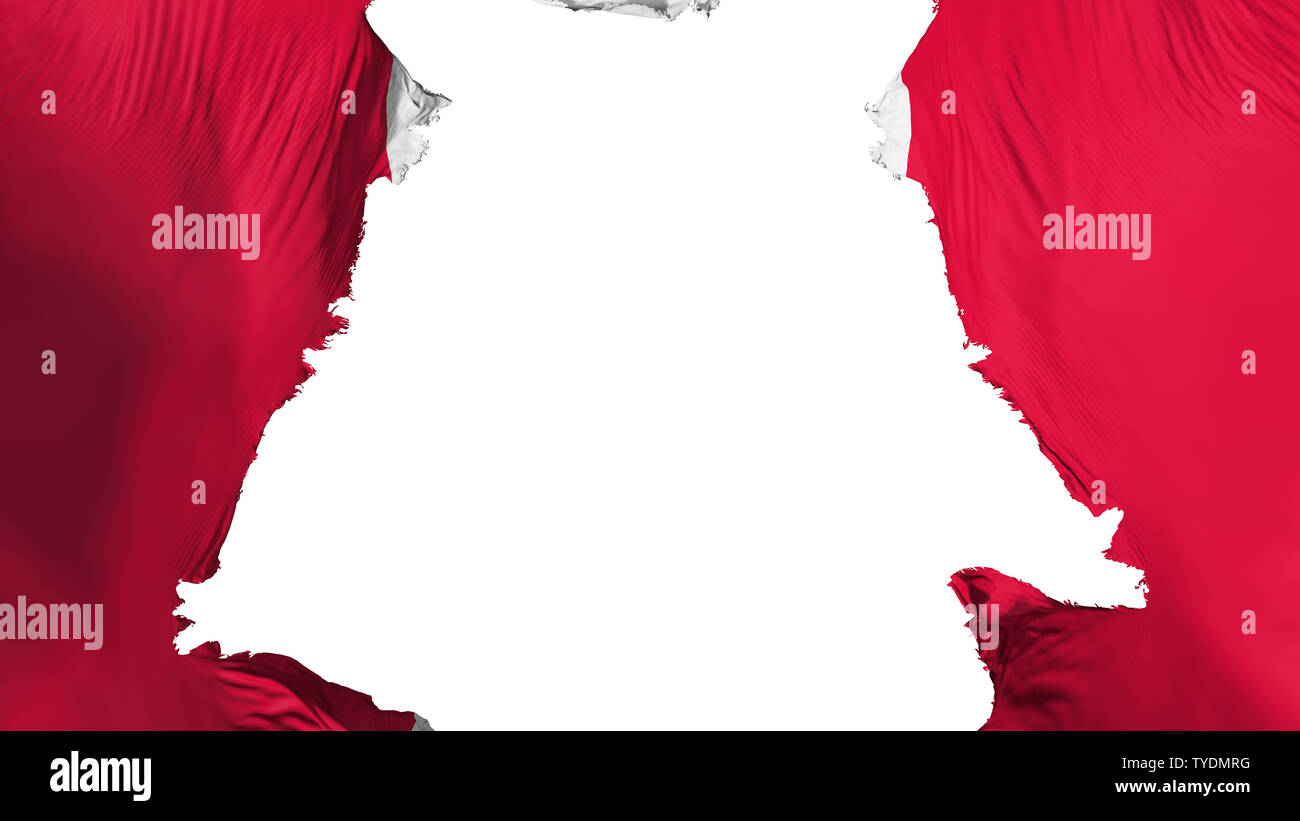 Raleigh capital city flag ripped apart Stock Photo - Alamy