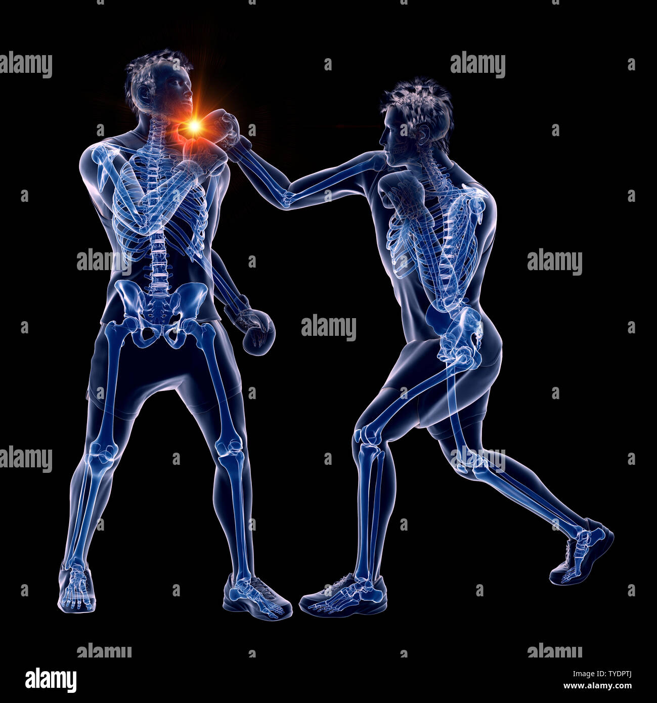 Man boxing skeleton hi-res stock photography and images - Alamy