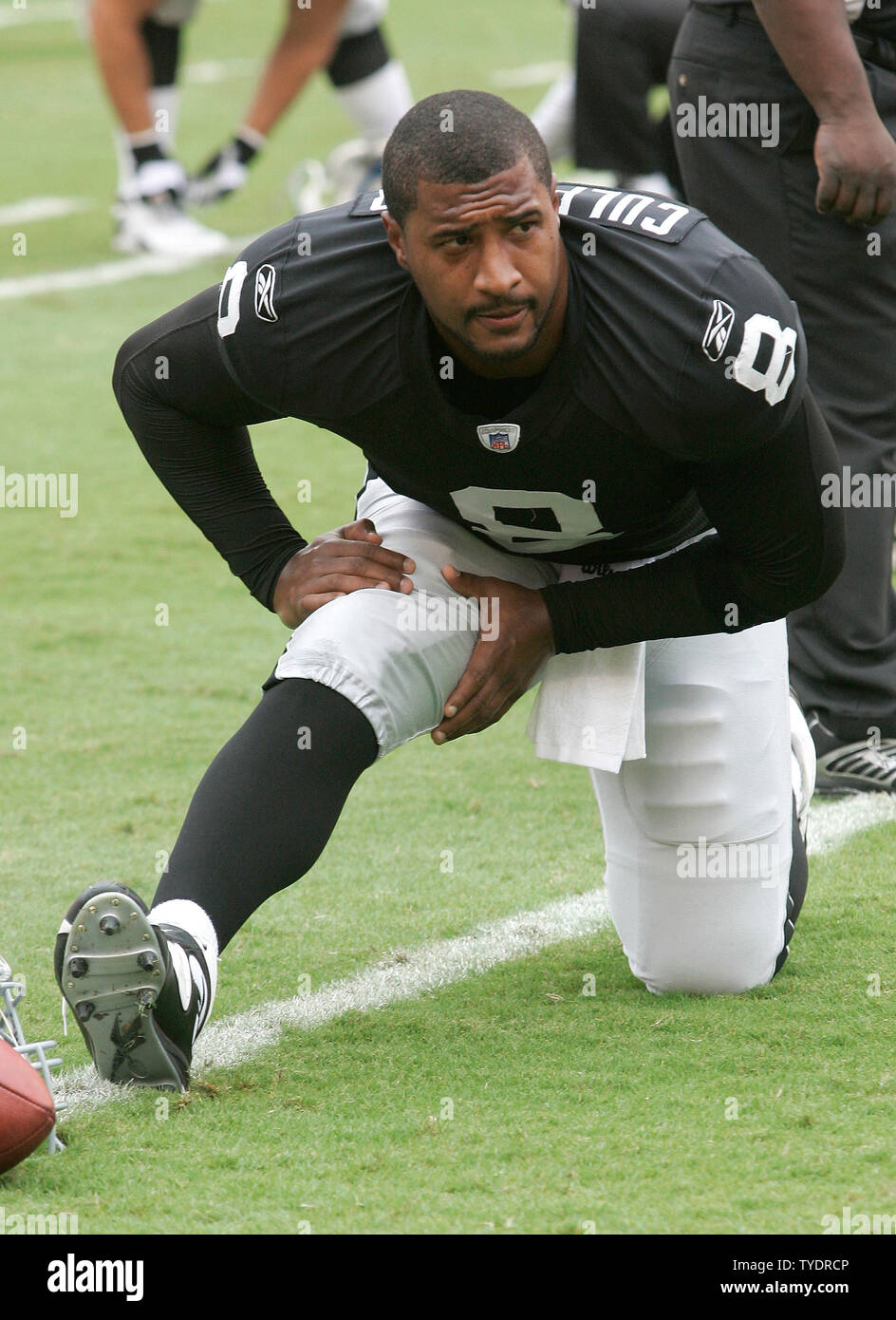 Quarterback daunte culpepper miami dolphins hi-res stock photography ...