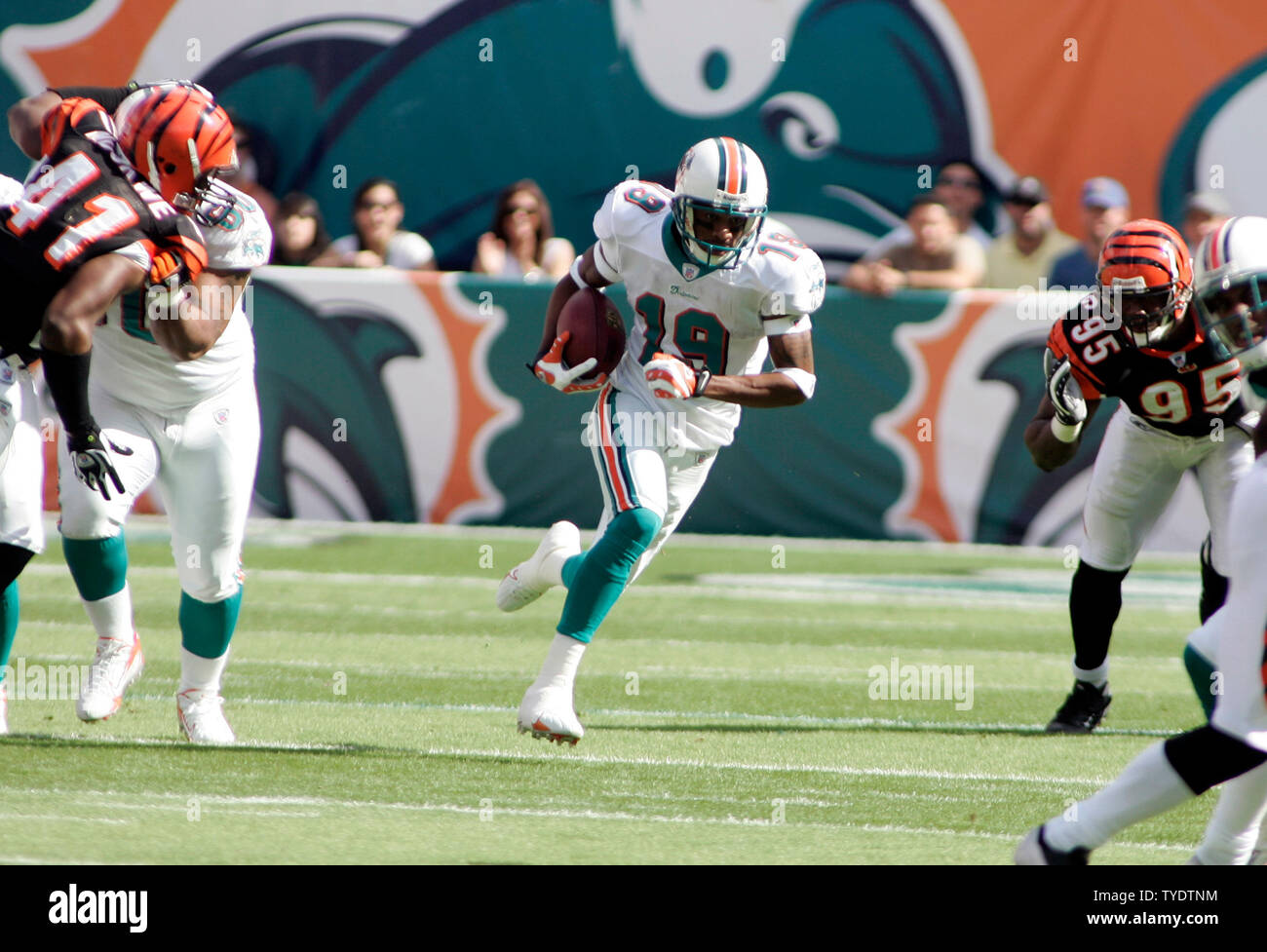 Dolphin kick hi-res stock photography and images - Alamy