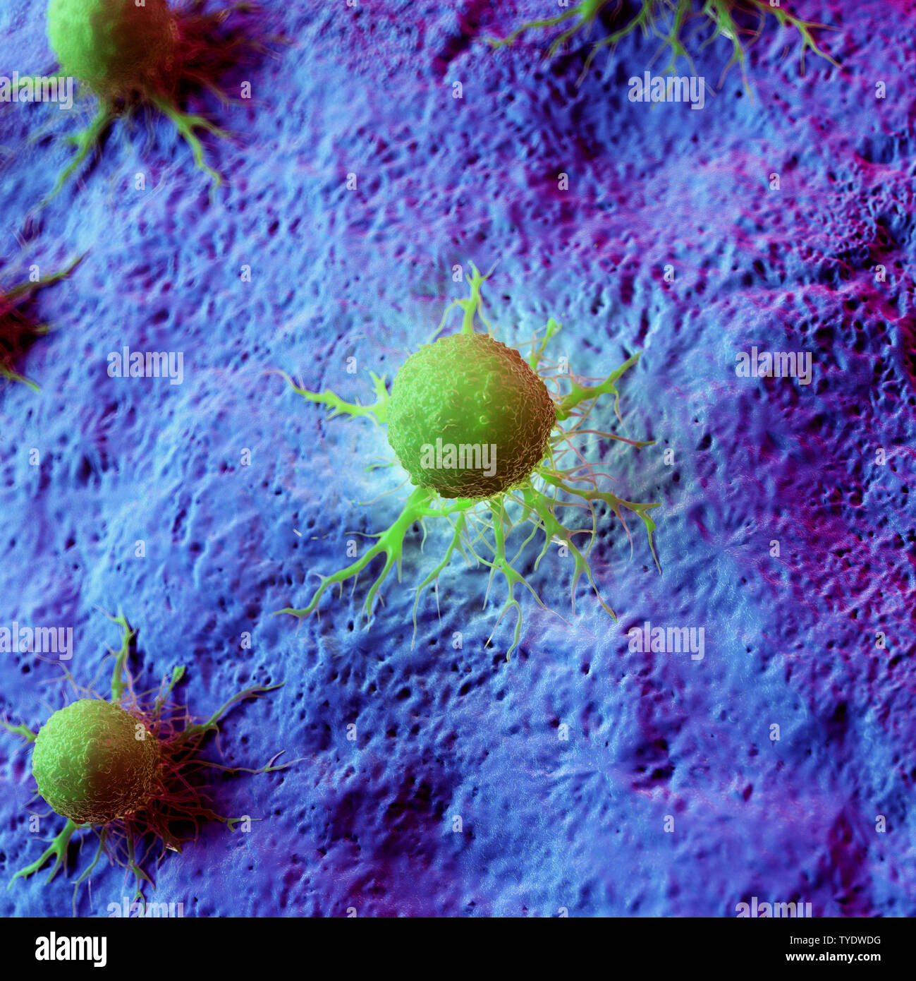 3d rendered illustration of human cancer cells Stock Photo - Alamy