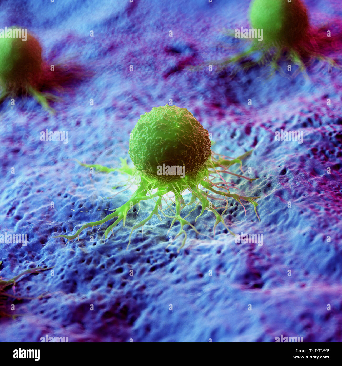 3d rendered illustration of human cancer cells Stock Photo - Alamy