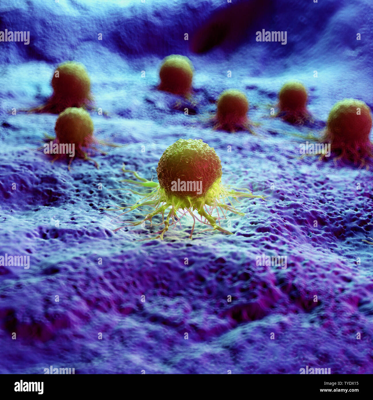 3d rendered illustration of human cancer cells Stock Photo - Alamy