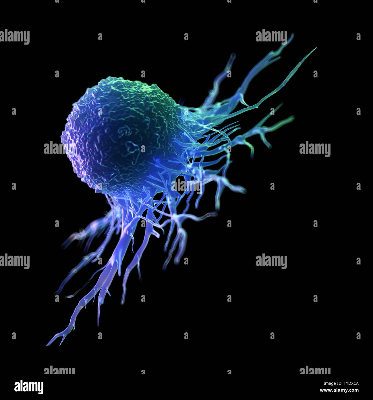 3d rendered illustration of a cancer cell Stock Photo - Alamy