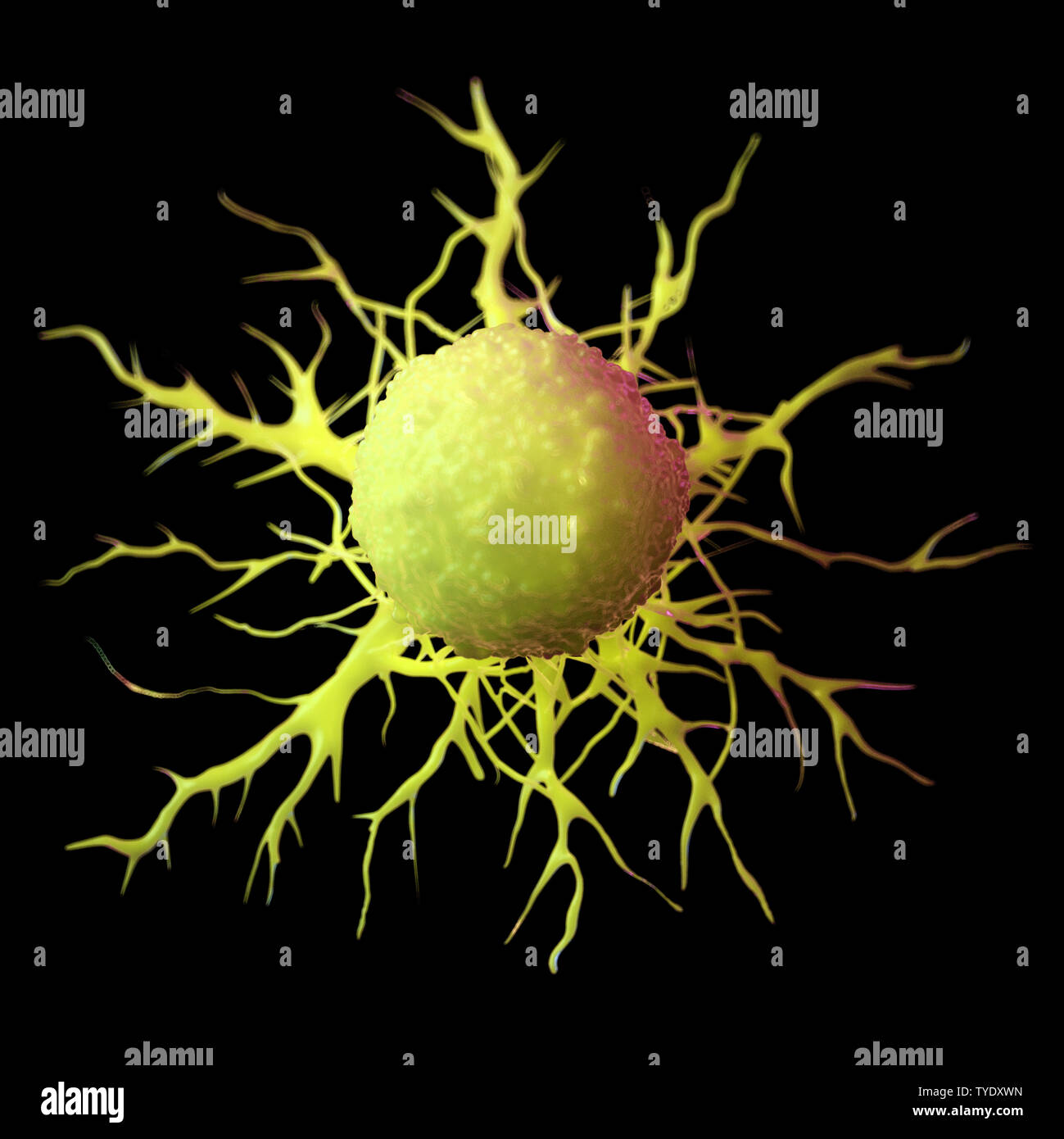 3d rendered illustration of a cancer cell Stock Photo - Alamy