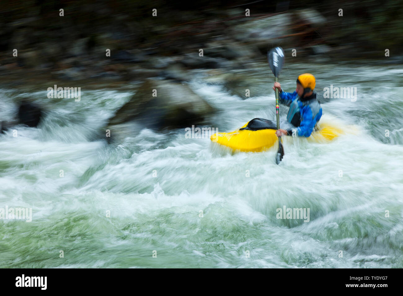 Piragüismo en el Río Asón y Gándara, Alto Asón, Cantabria, España ...
