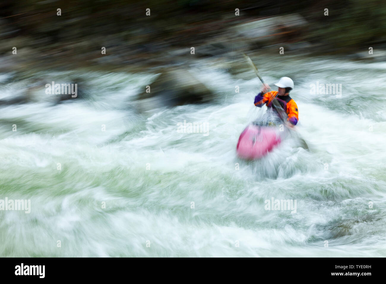 Piragüismo en el Río Asón y Gándara, Alto Asón, Cantabria, España ...