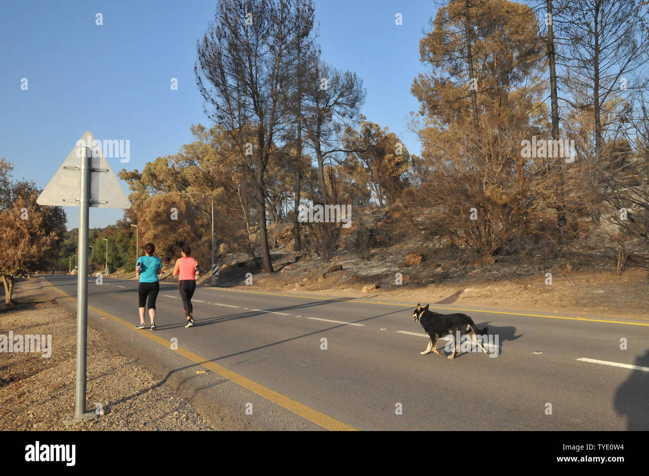 Woman jogging on country road hi-res stock photography and images - Alamy