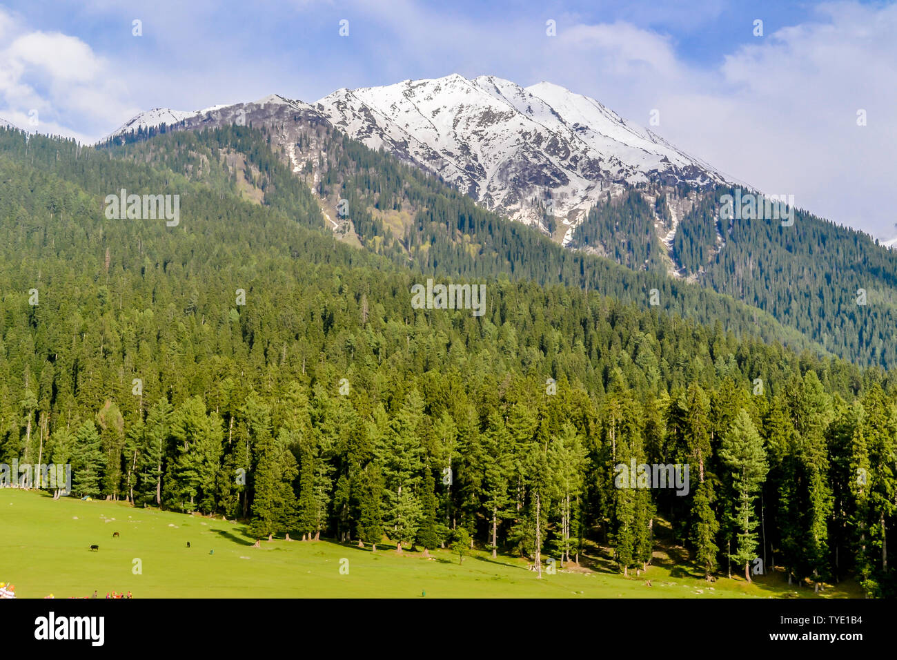 Yusmarg village hi-res stock photography and images - Alamy