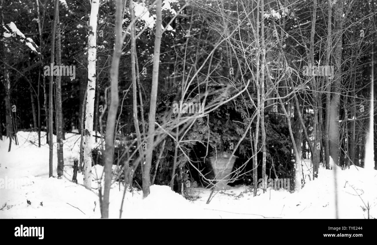 Photograph of Ruffed Grouse Food Shelter at Beaver Lake in Delta ...