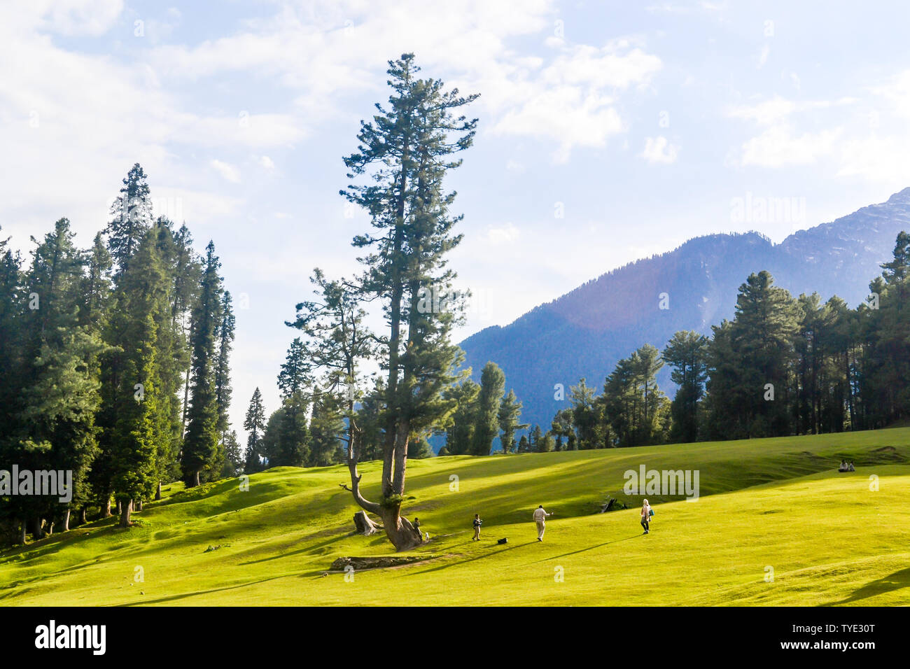 Stunning photograph of Kashmir valley (Paradise on Earth). Beautiful ...