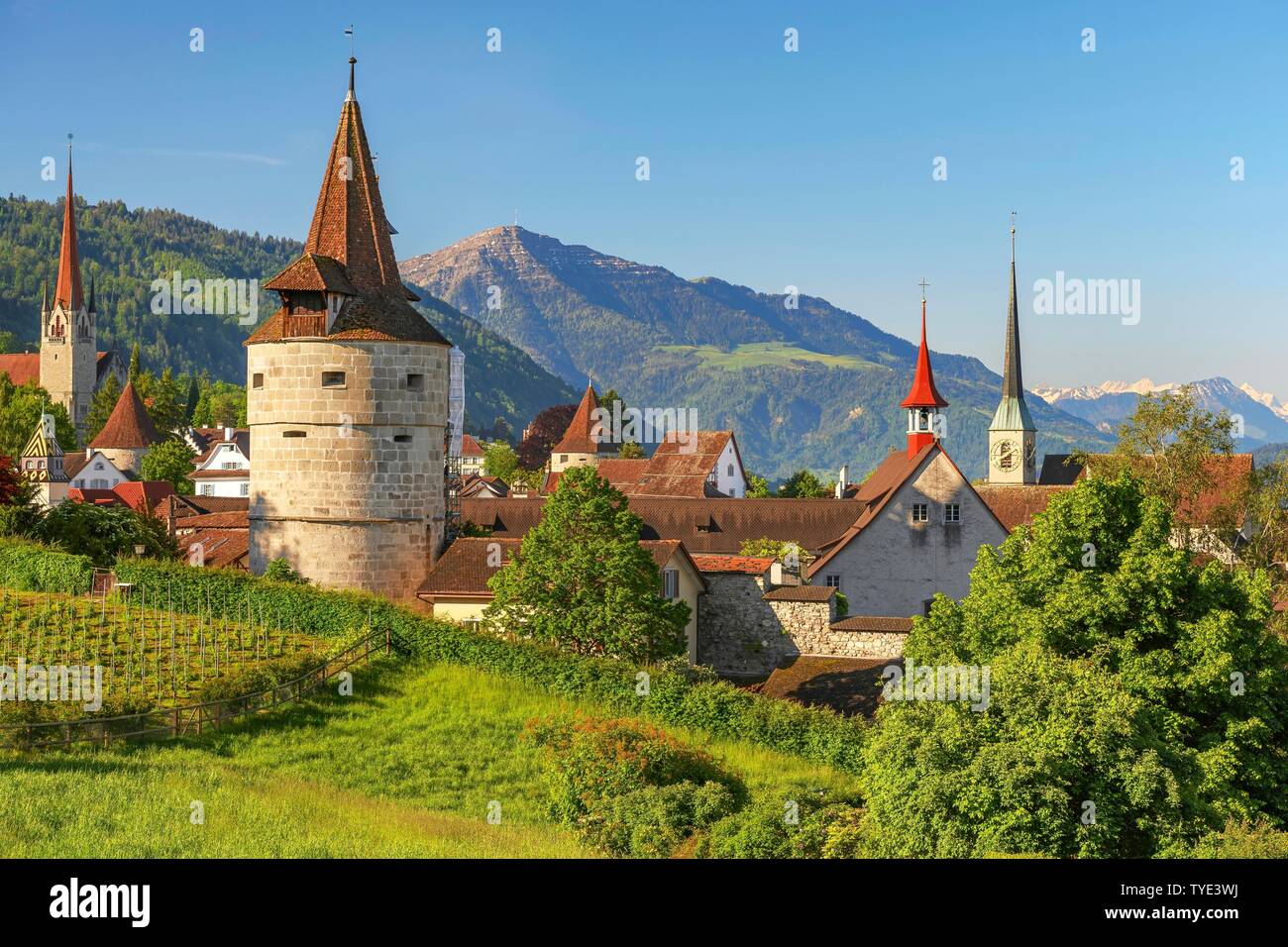 Town view with Capuchin tower and church, old town, Rigi at the back ...