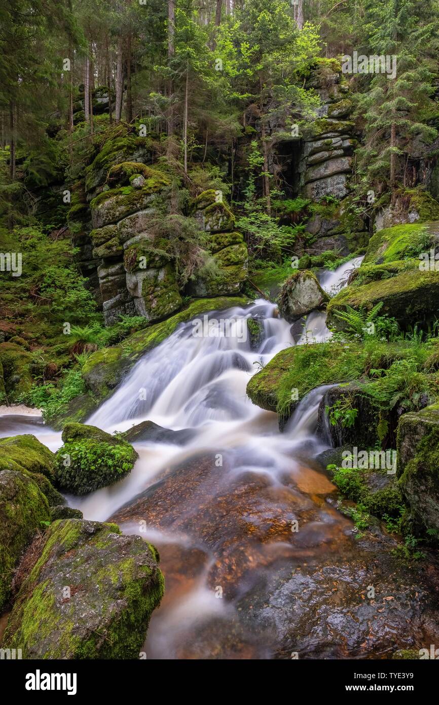 Schonbach hi-res stock photography and images - Alamy