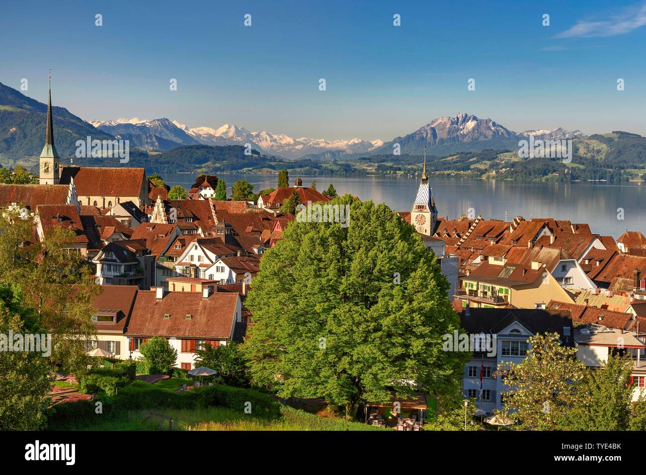 View of the town with Zytturm tower and church, old town with Lake Zug ...