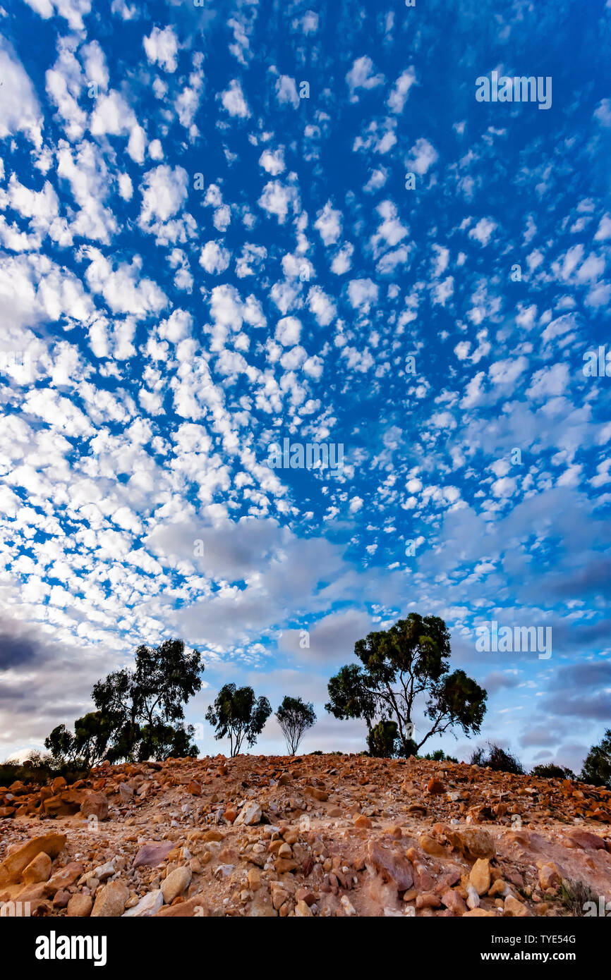 Australian goldfields hi-res stock photography and images - Alamy